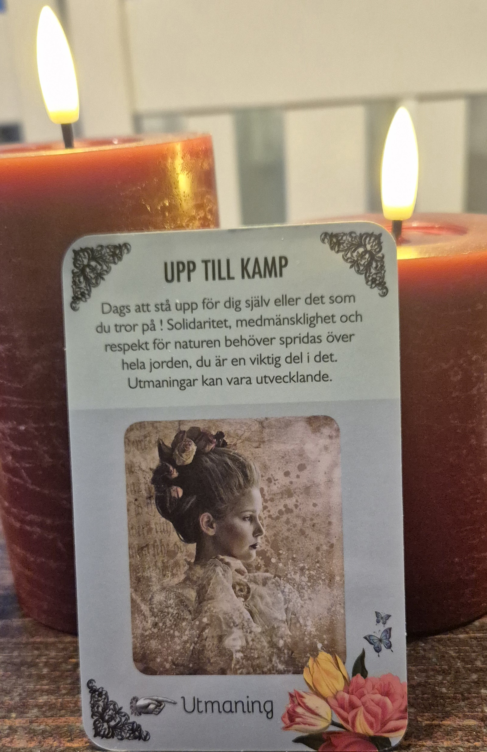 🌟 Budskap 22/11